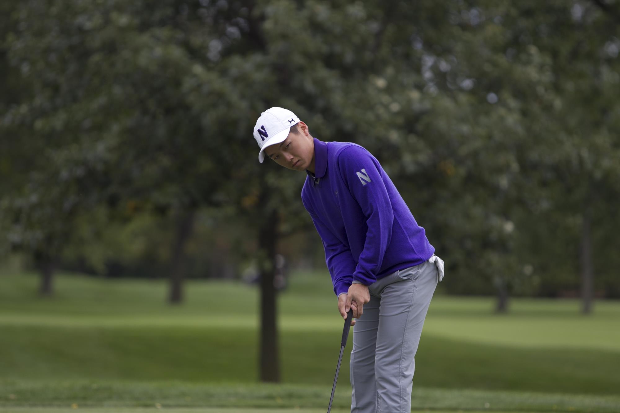 Matthew Negri - 2014-15 - Men's Golf - Northwestern University Athletics