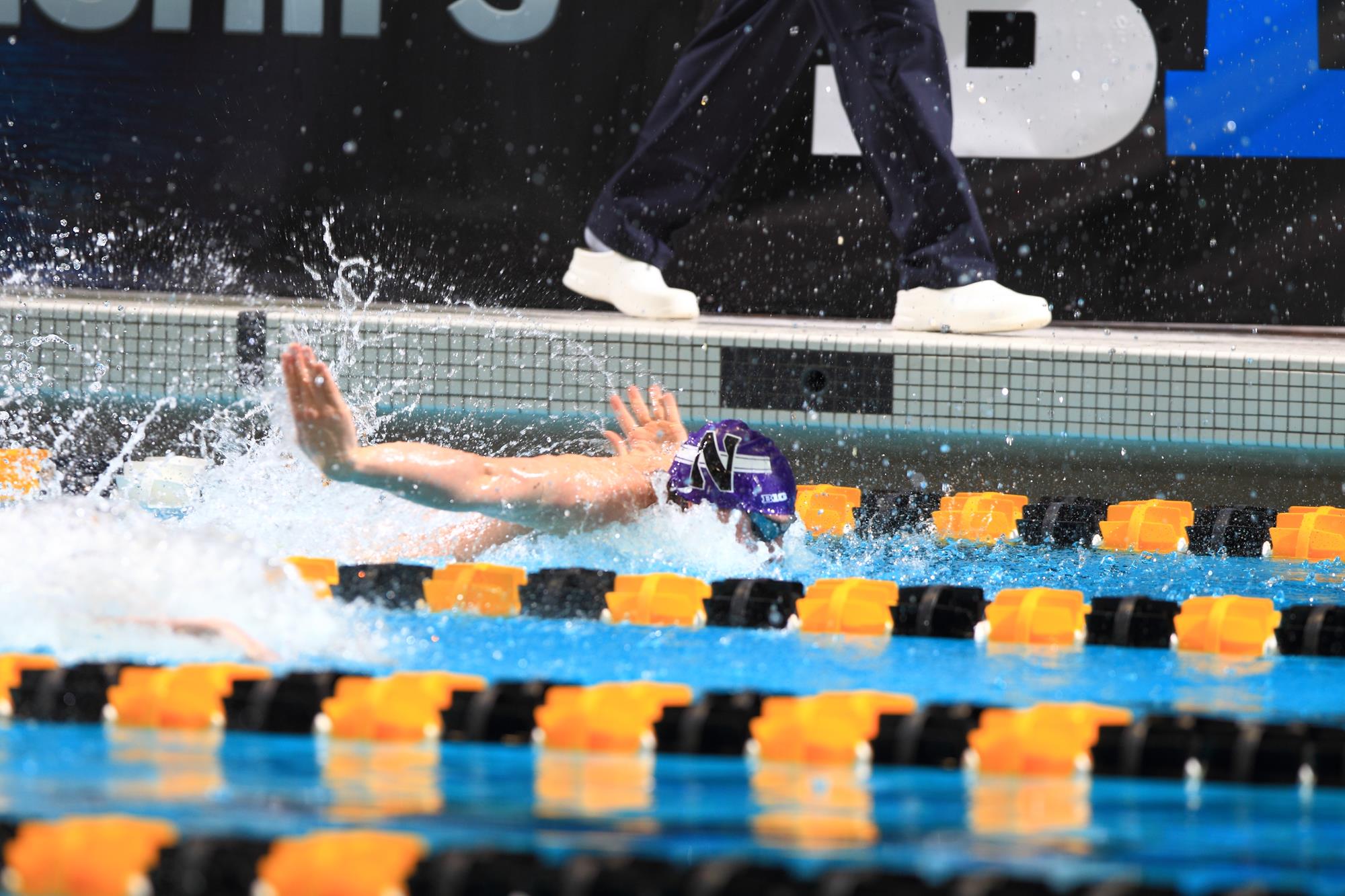 Jack Morris - 2016-17 - Men's Swimming and Diving - Northwestern ...