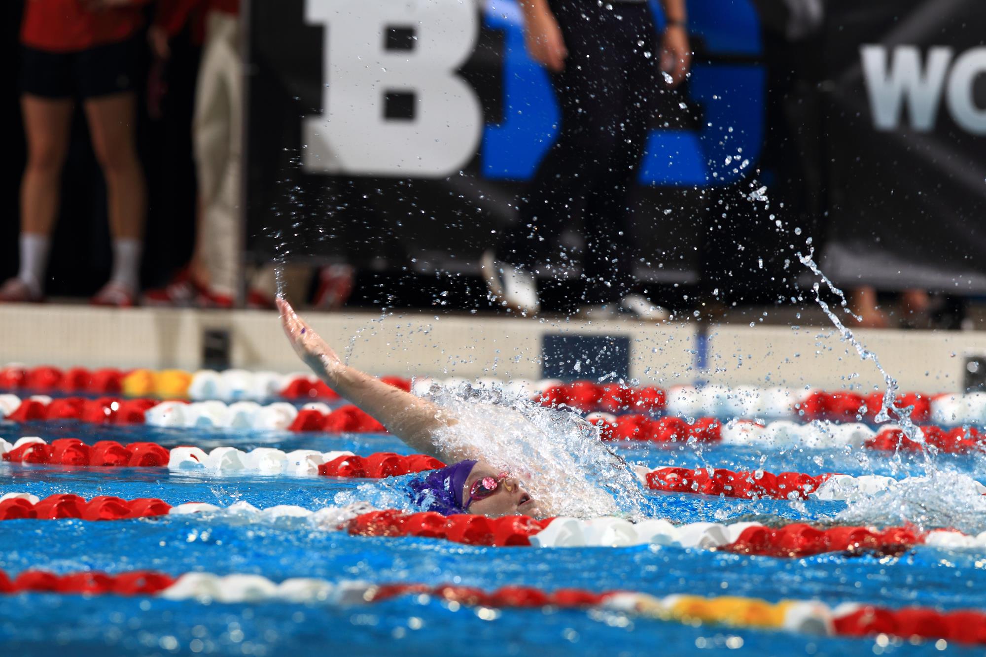 Lacey Locke - 2016-17 - Women's Swimming and Diving - Northwestern ...