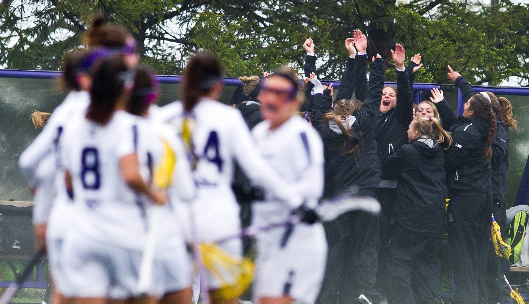 Tara Chelios - 2018 - Women's Lacrosse - Northwestern University Athletics