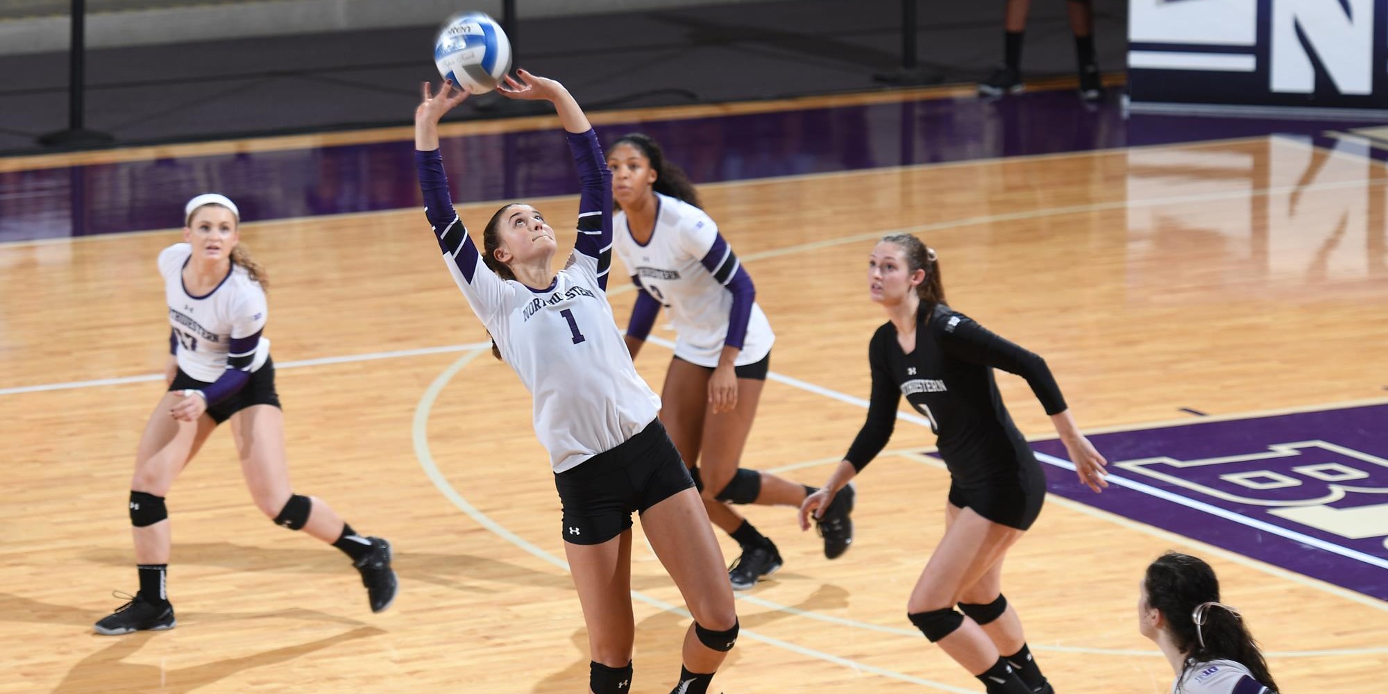 Taylor Tashima - 2017 - Women's Volleyball - Northwestern University ...