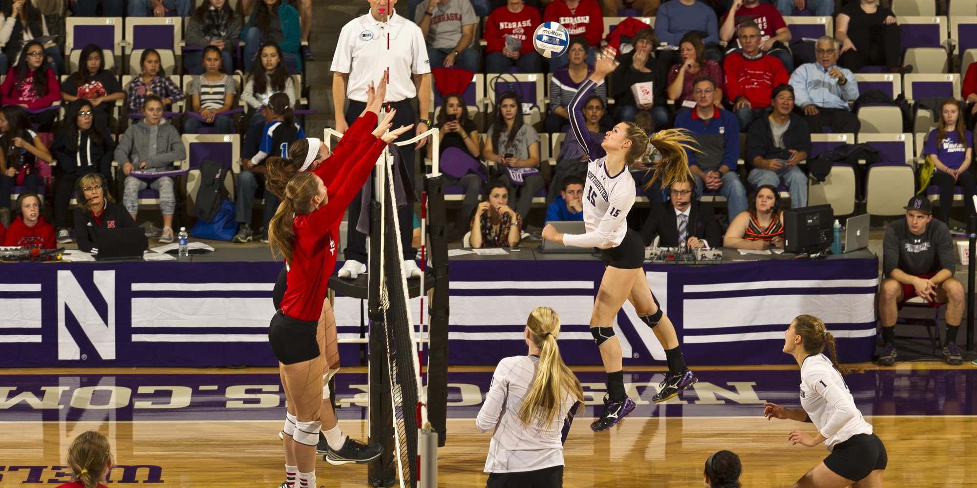 Kayla Morin - 2016 - Women's Volleyball - Northwestern Athletics