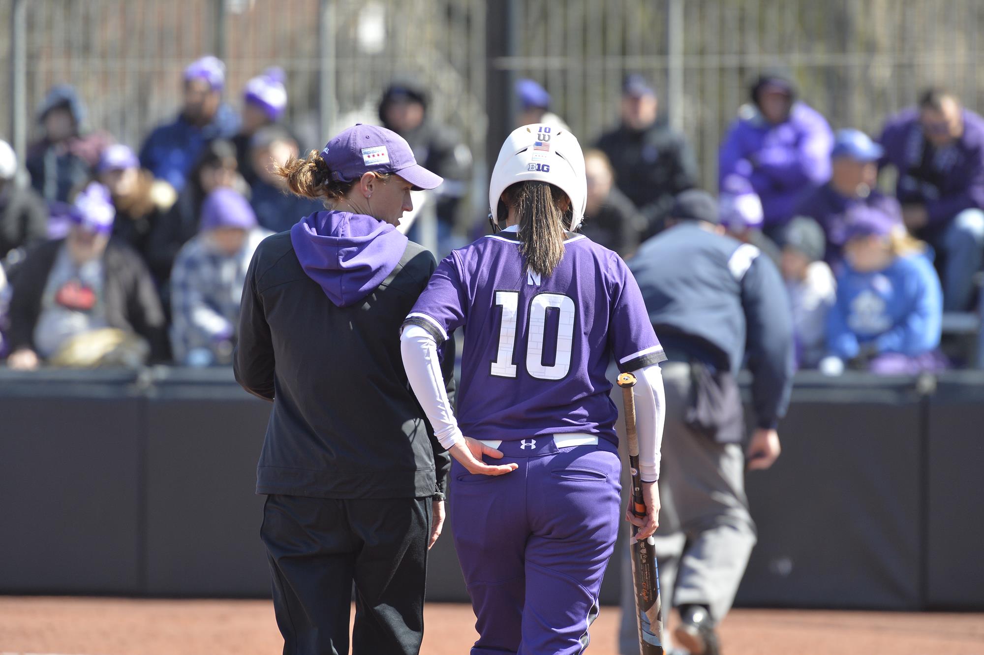 Fran Strub - 2016 - Softball - Northwestern University Athletics