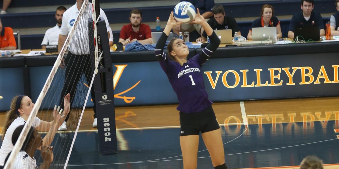 Taylor Tashima - 2017 - Women's Volleyball - Northwestern Athletics
