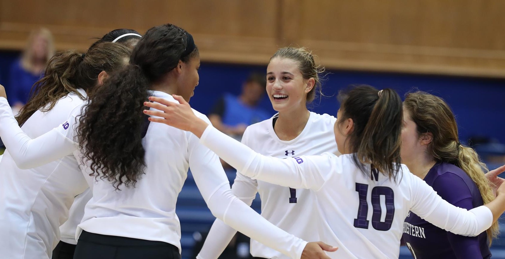 Taylor Tashima - 2017 - Women's Volleyball - Northwestern Athletics