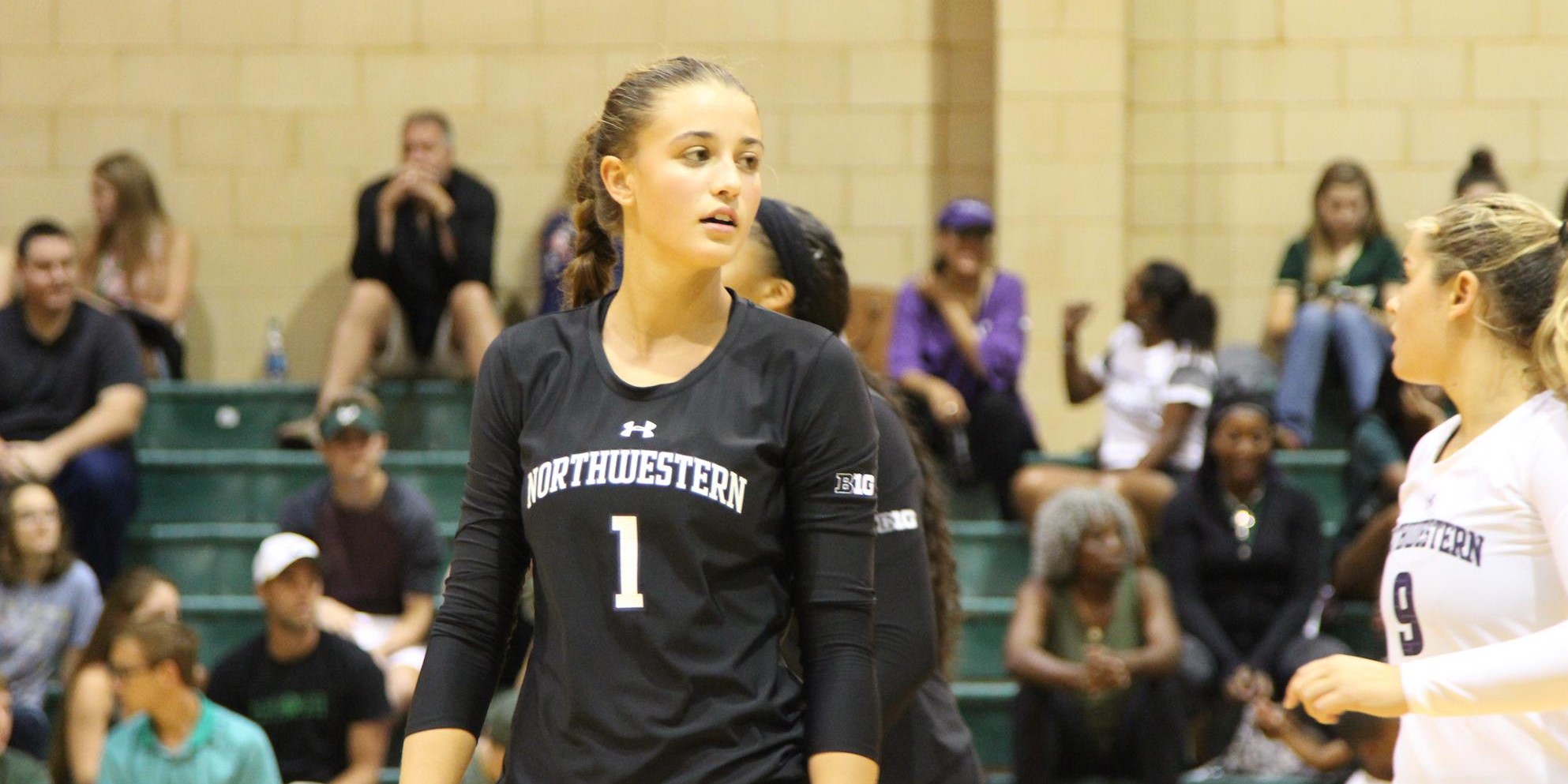 Taylor Tashima - 2017 - Women's Volleyball - Northwestern University ...