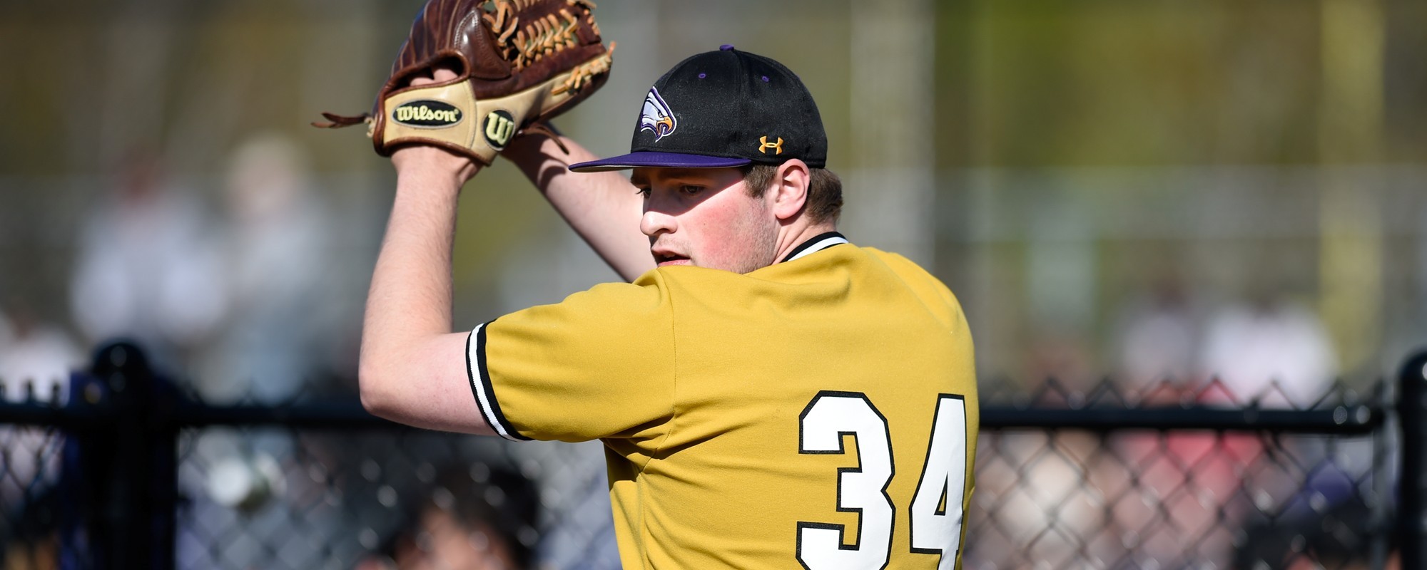Jacob Franzen - 2017 - Baseball - University of Northwestern Athletics