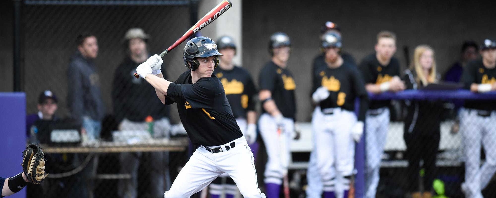 Christian Halbur - 2017 - Baseball - University of Northwestern Athletics