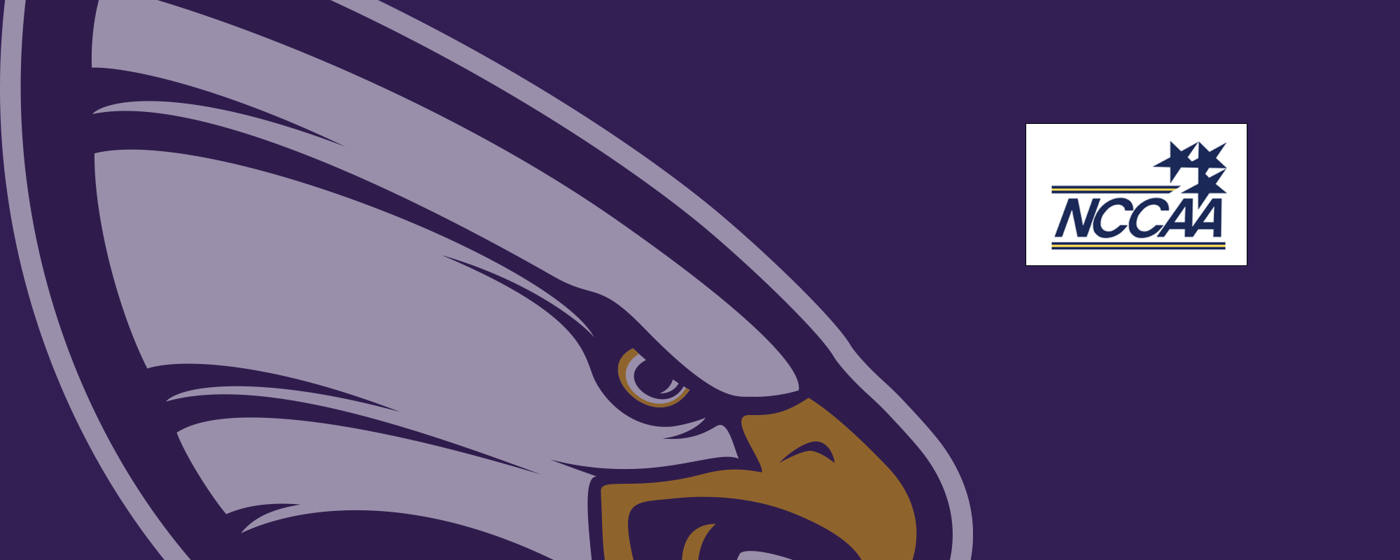 NCCAA Regional Basketball Food Drive Service Project Announced ...