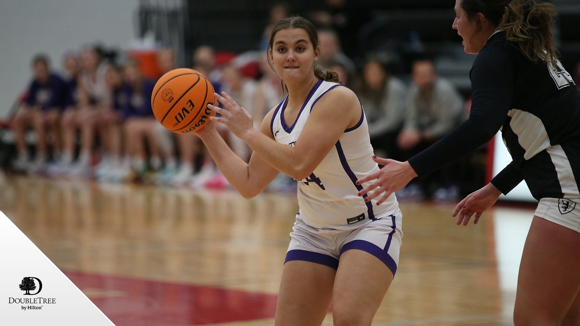 Women’s Basketball Shoots Lights Out in Dominant Road Win - University ...