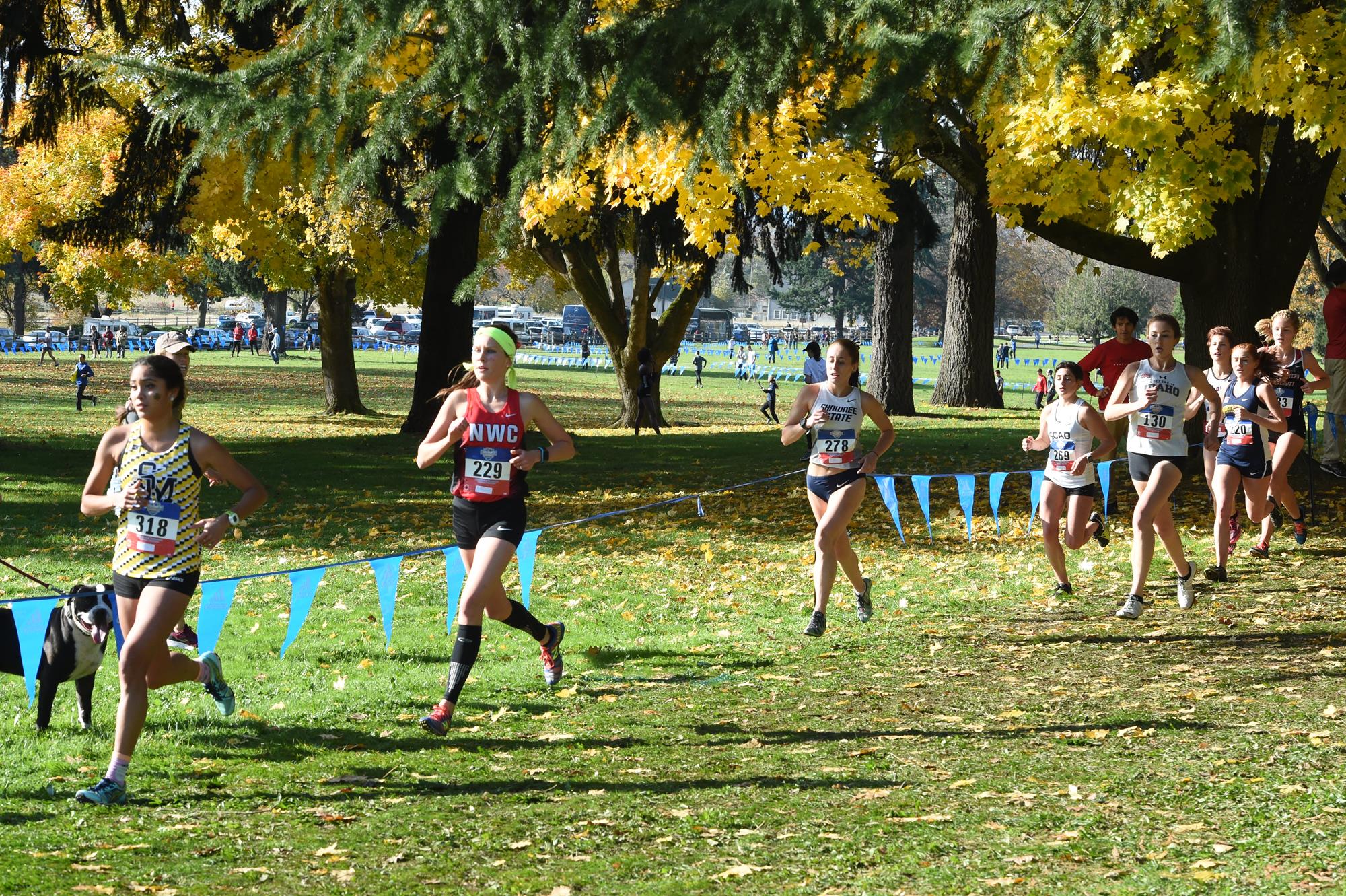 Sarah Lunn - Women's Cross Country - Northwestern College Athletics