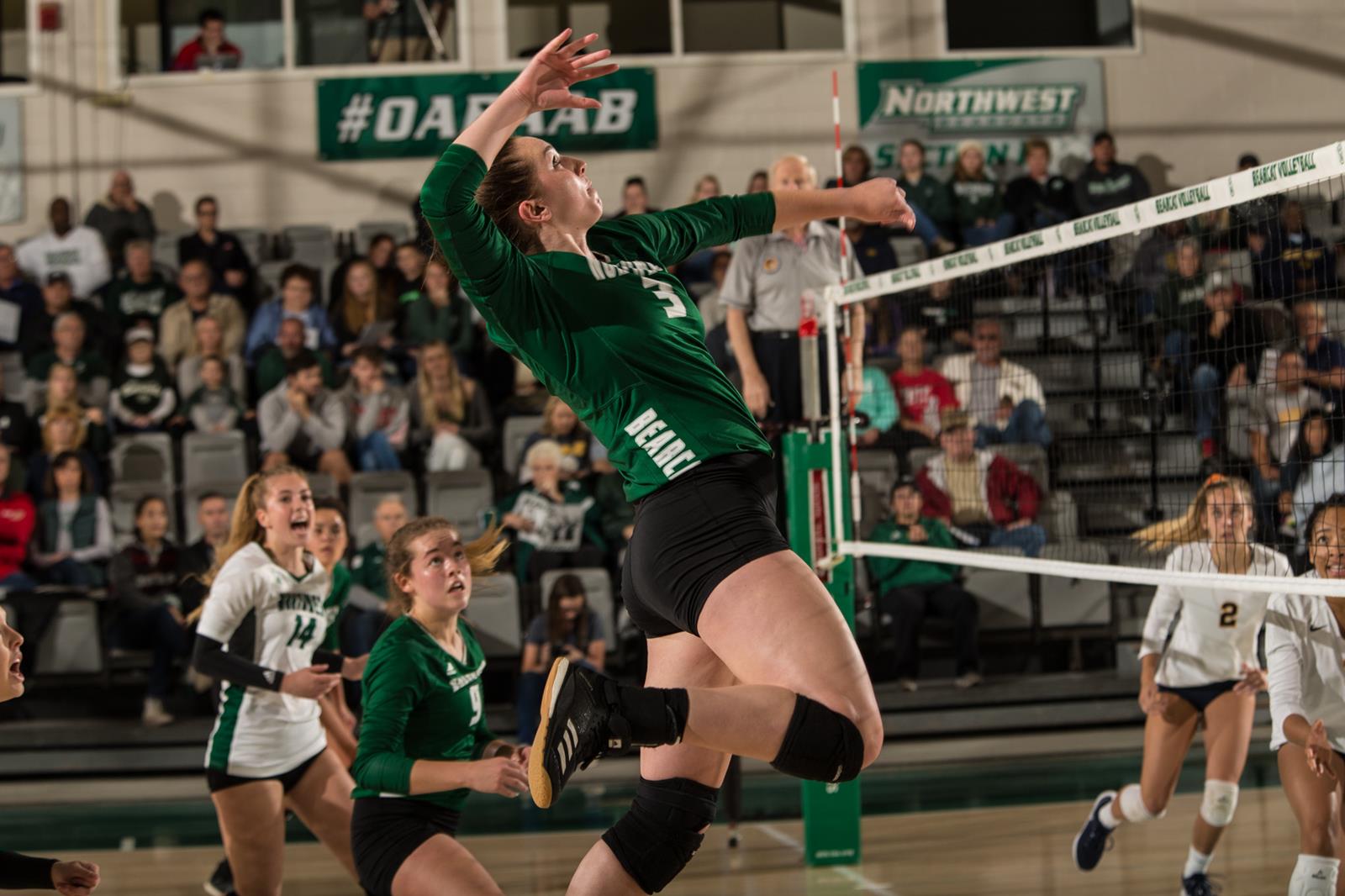 Morgan Lewis - 2020 - Volleyball - Northwest Missouri State Athletics