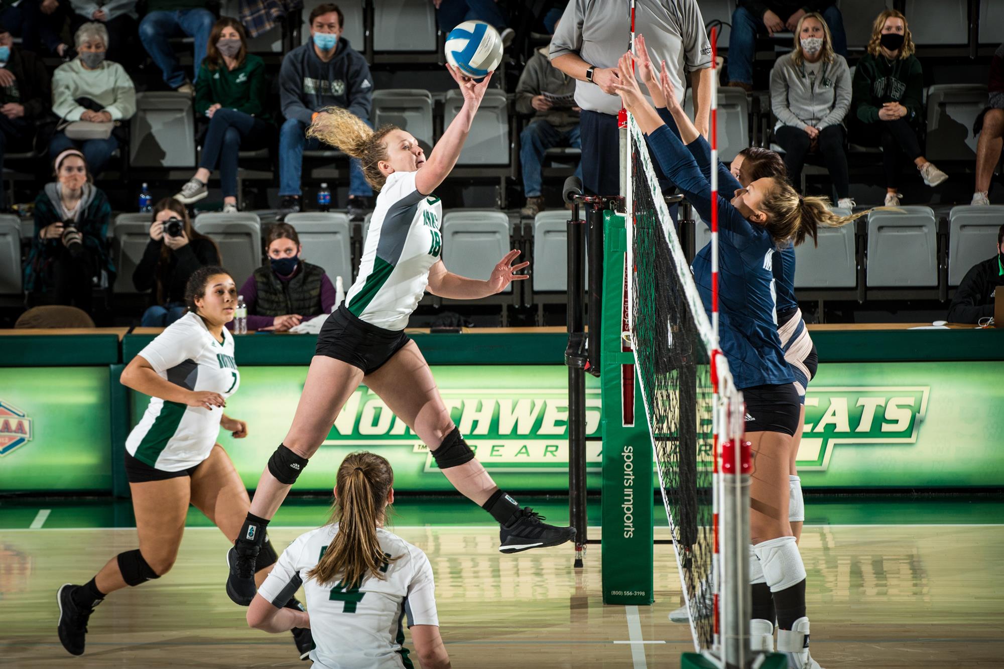 Bethany Elkins - 2020 - Volleyball - Northwest Missouri State Athletics