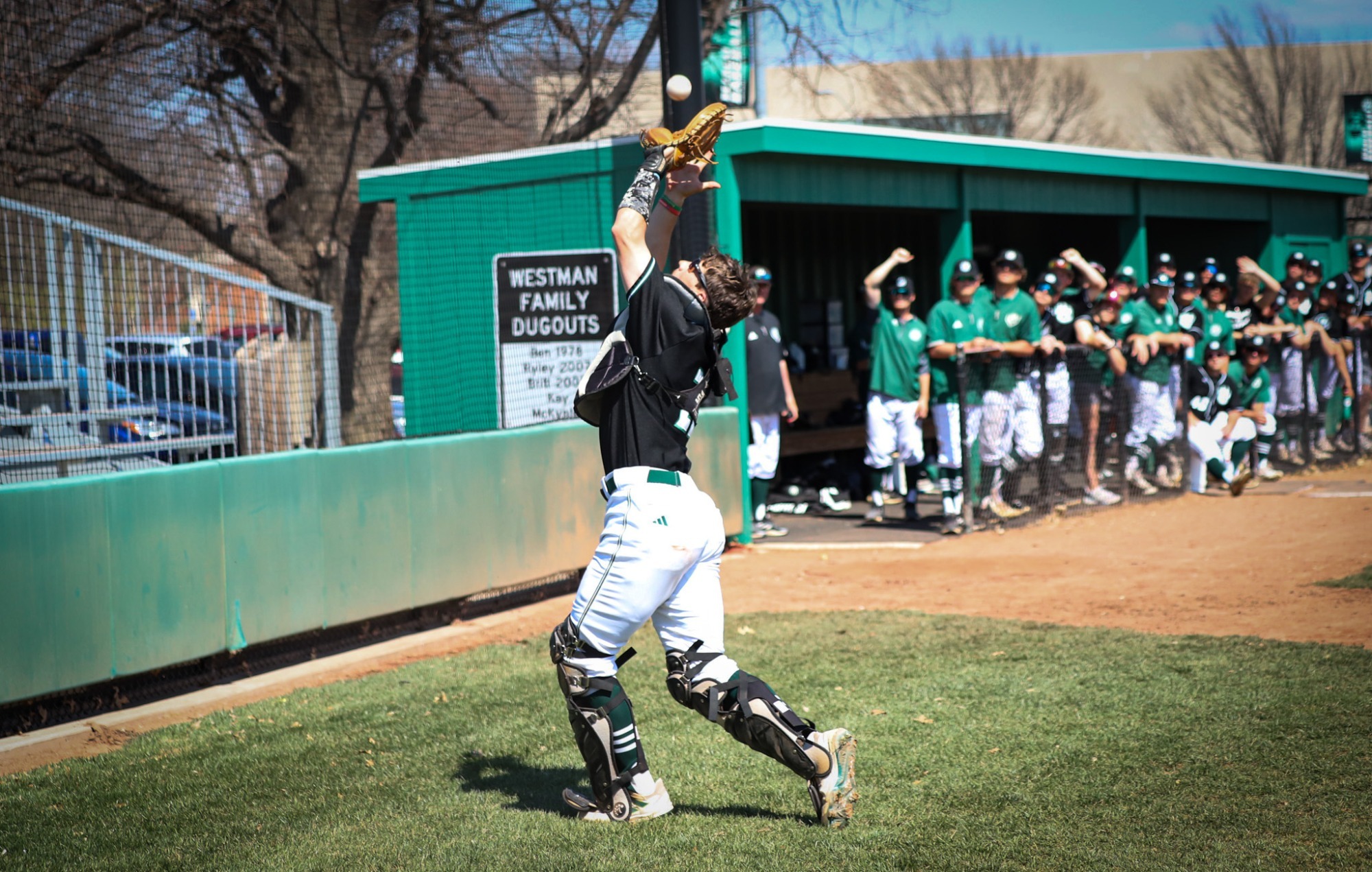 Caden Diel - 2024 - Baseball - Northwest Missouri State Athletics