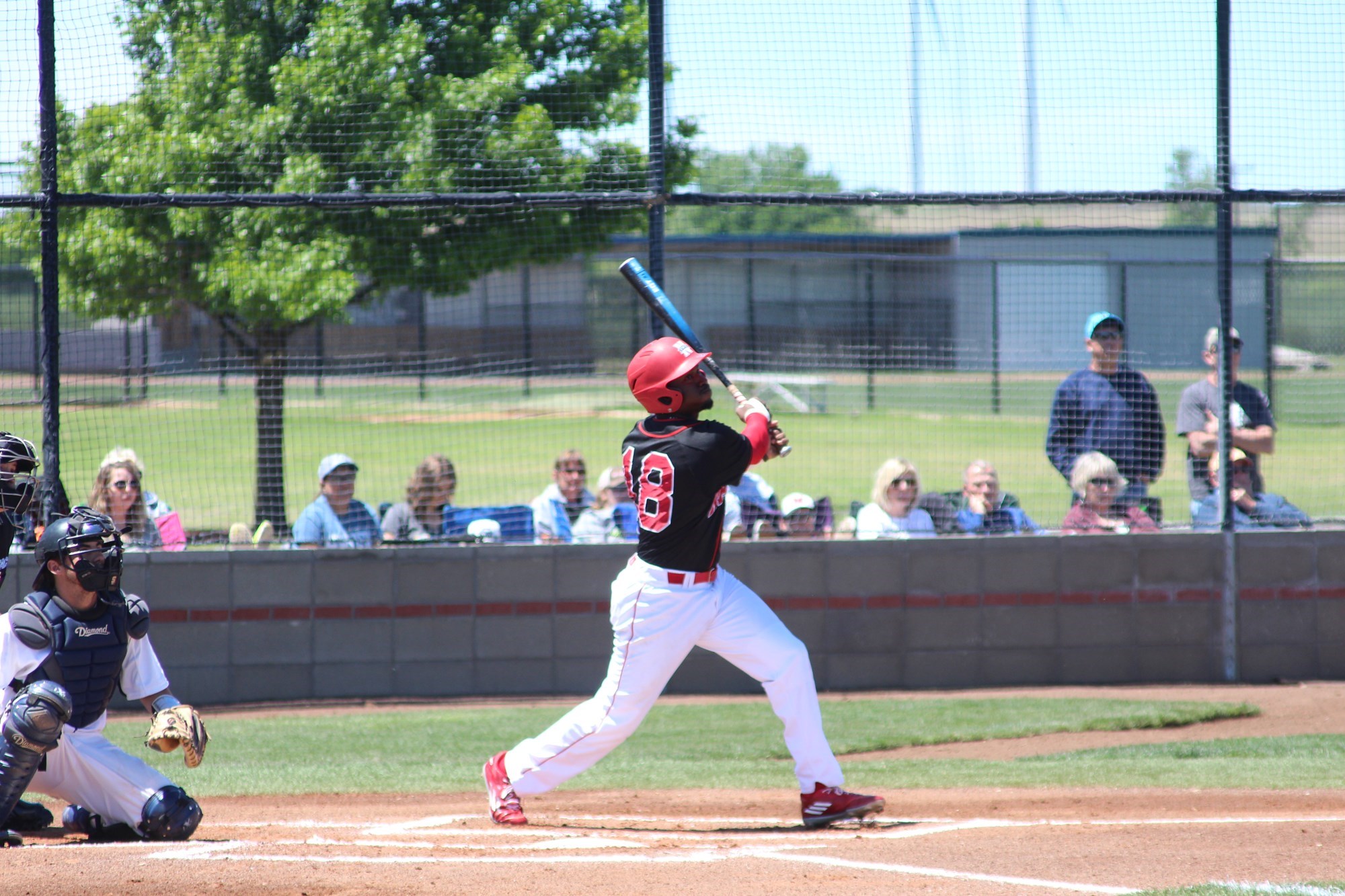 Thomas Bess - 2016 - Baseball - Northwestern Oklahoma State Athletics