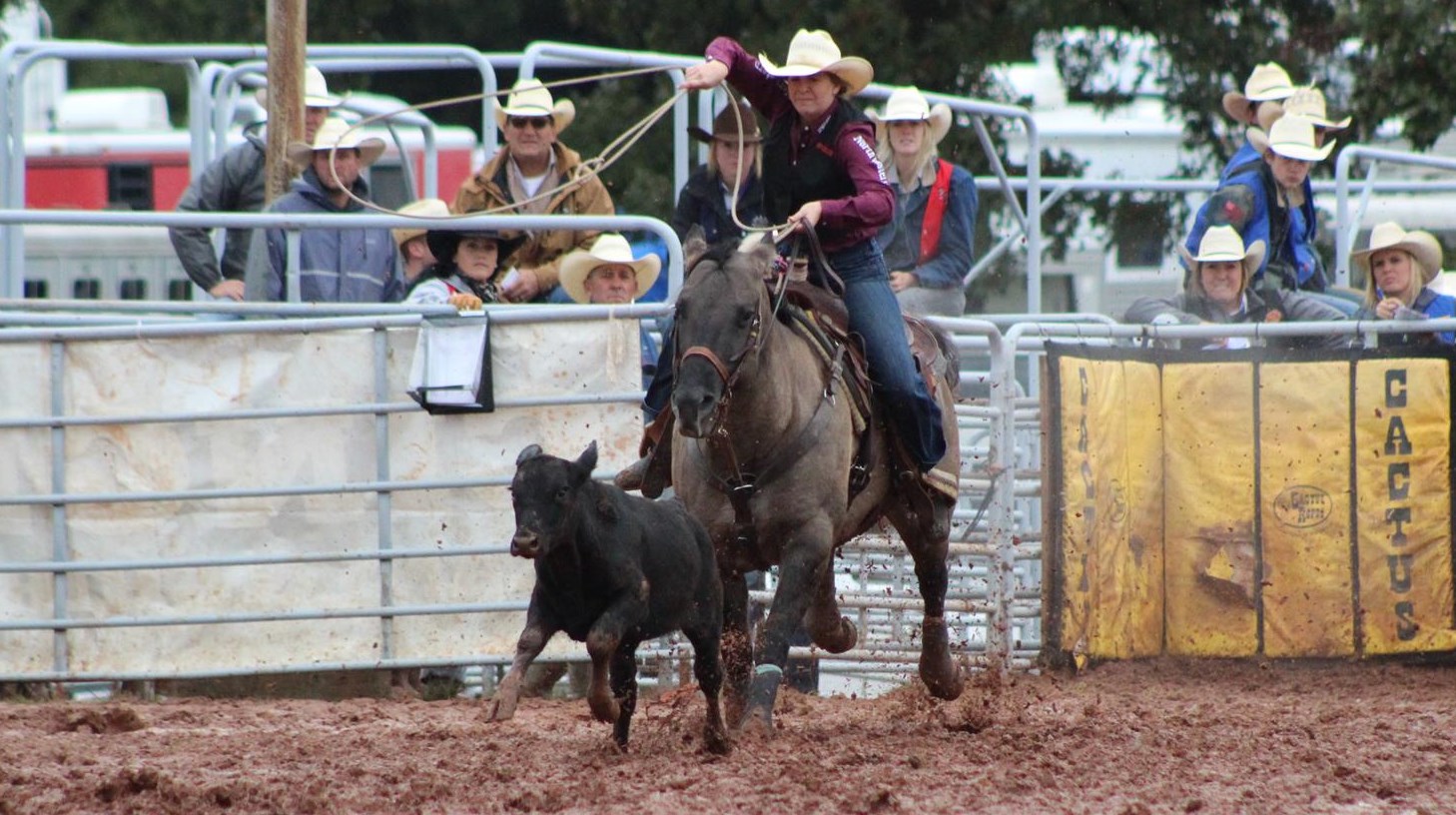 RANGER COWGIRLS TAKE TITLE AT K-STATE; ANDERSON PACES MEN ...