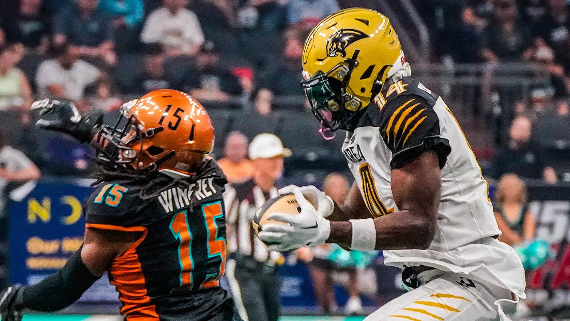 Arizona Rattlers vs Bay Area Panthers: How to Watch, Listen and Live ...