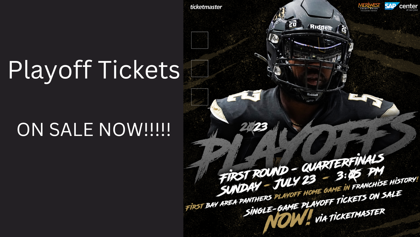 Playoff Tickets on Sale - Bay Area Panthers