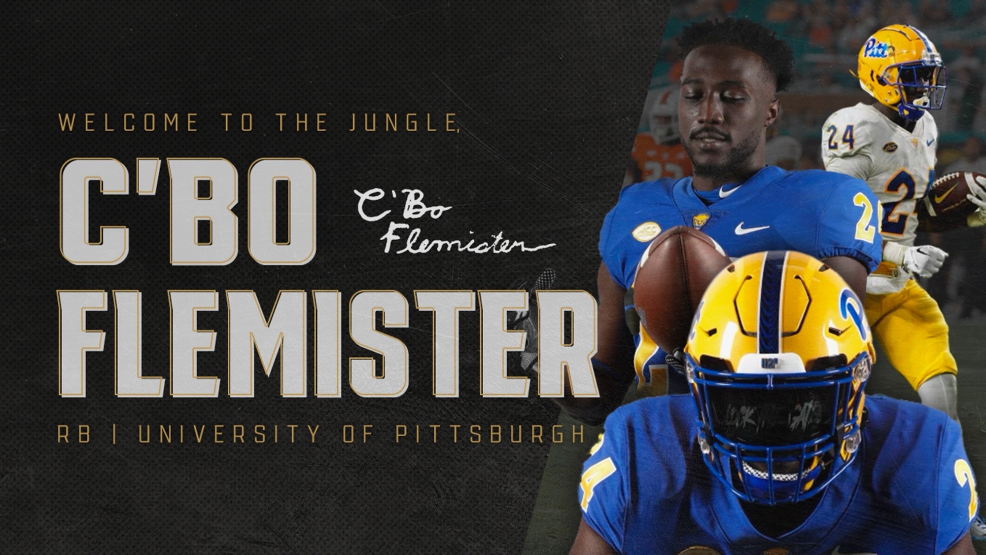 Panthers Sign Quarterback Josh Jones - Bay Area Panthers