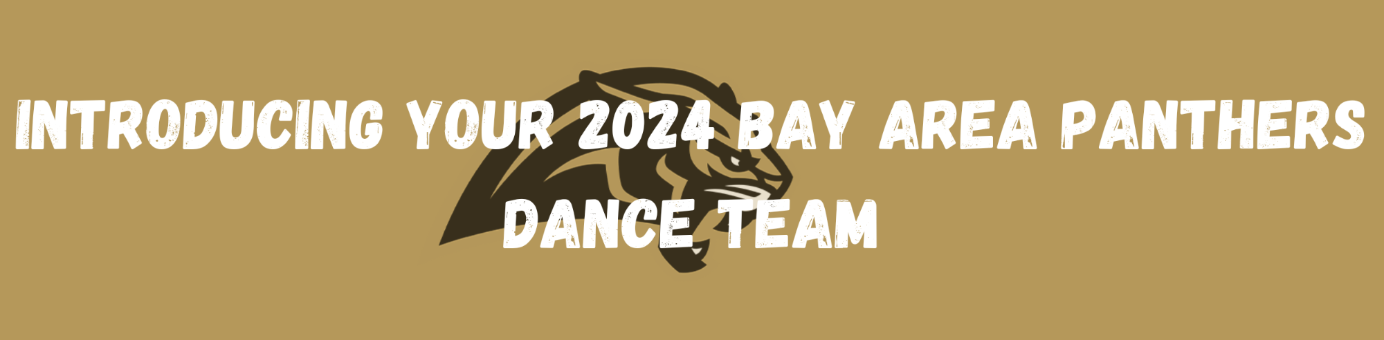 Introducing 2024 Panthers Dance Team - Bay Area Panthers