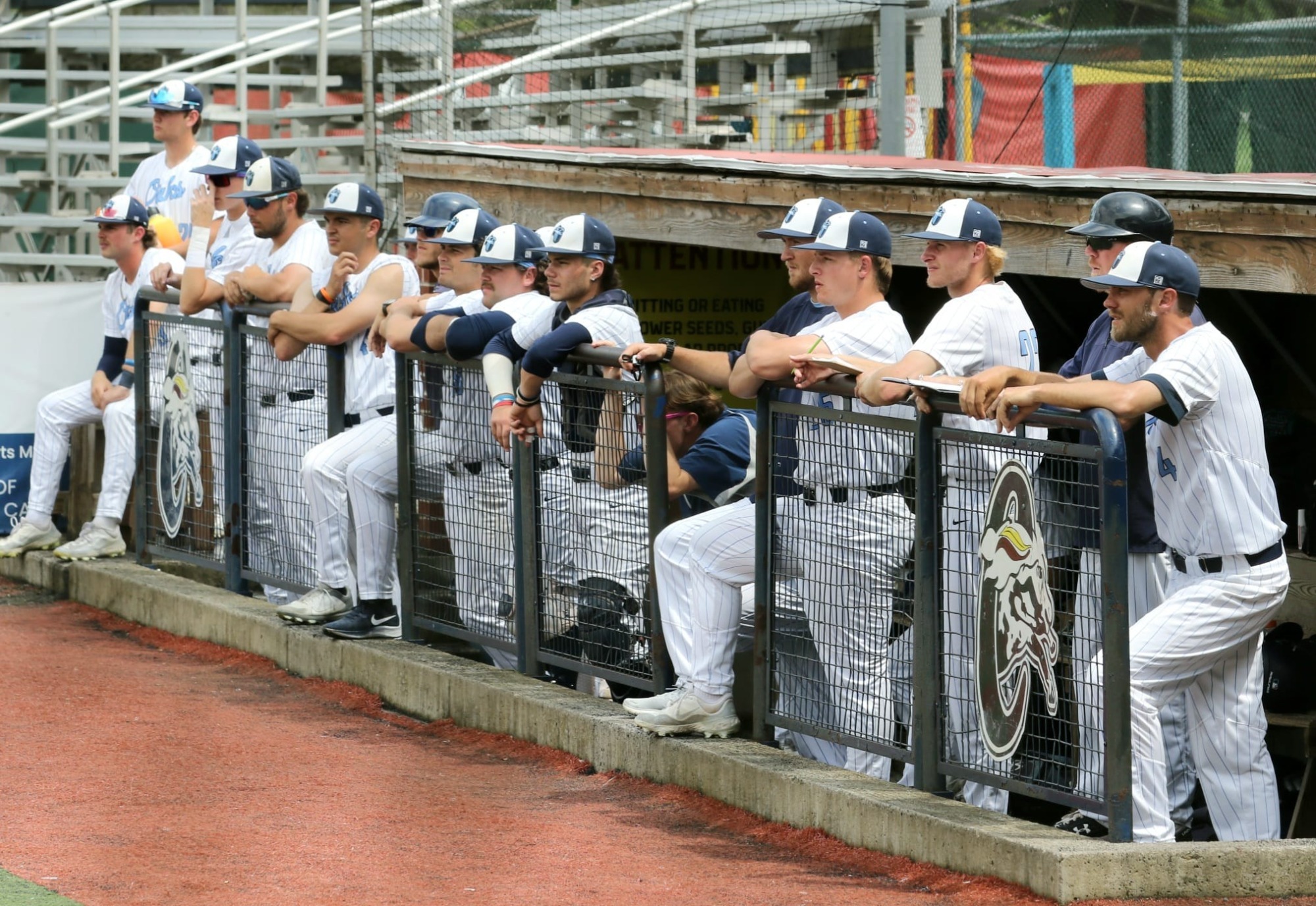 Baseball Season Ends With 45 Wins - Oakland City University Athletics