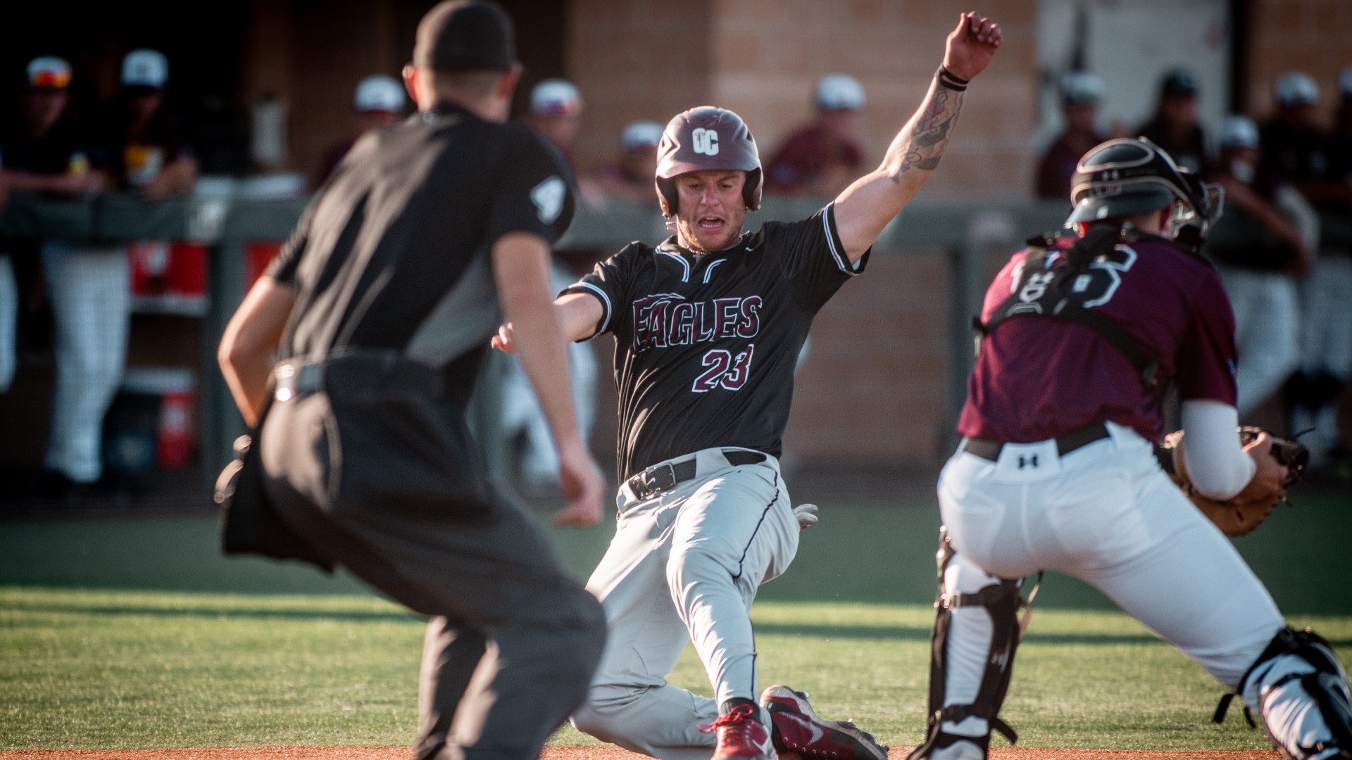 Michael DiFiore - 2023 - Baseball - Oklahoma Christian University Athletics
