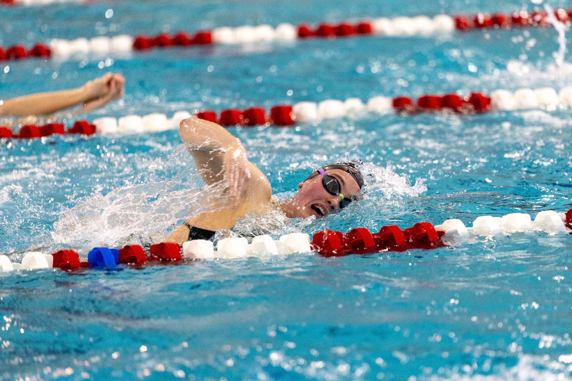 Ohio Swim and Dive Announces 2024-25 Schedule - Ohio University