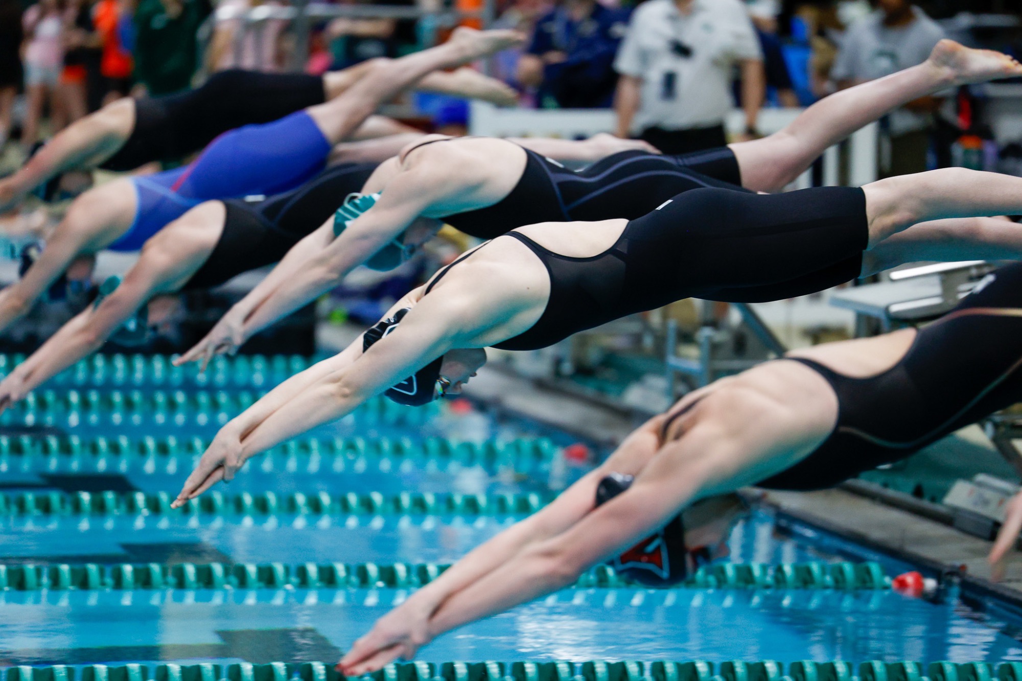 Ohio Swim and Dive Named CSCAA Scholar All-American Team; Individual ...