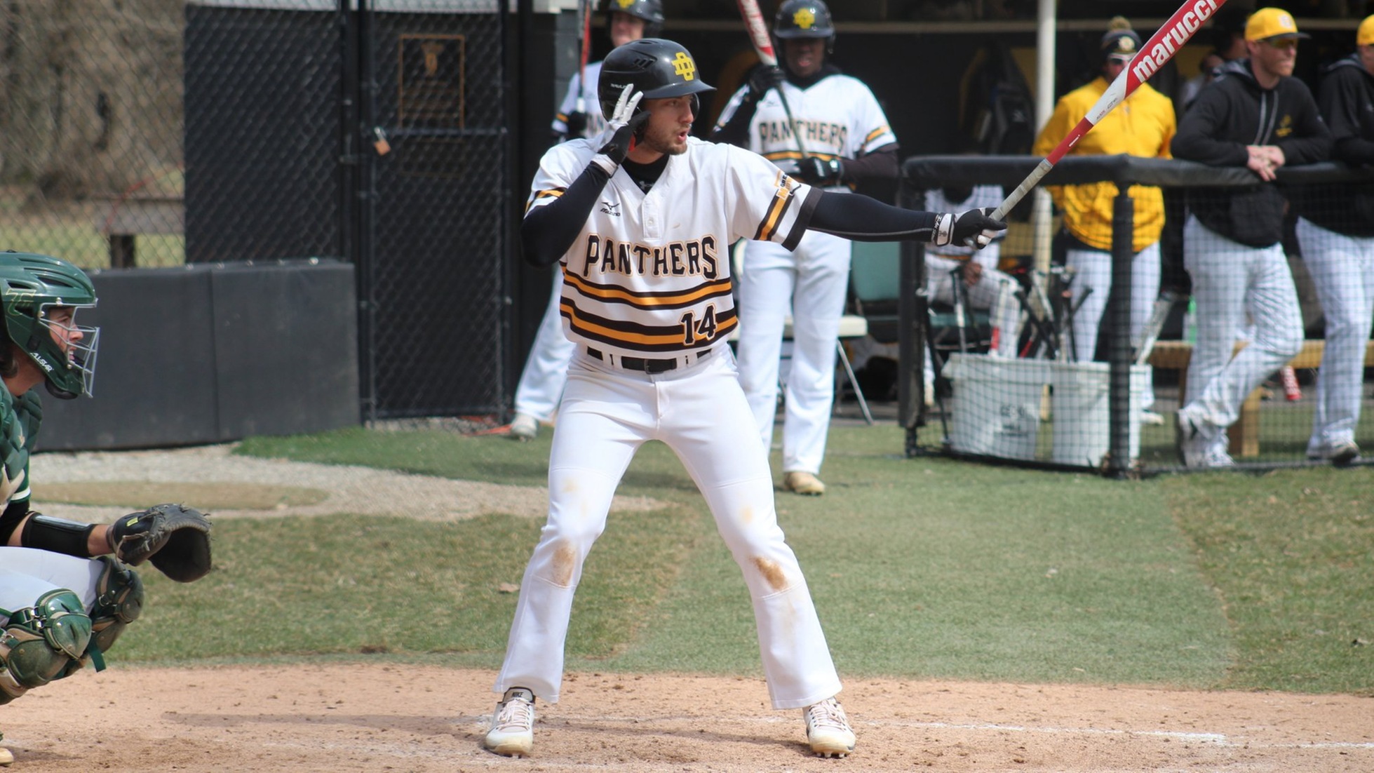 Machuga Collects Three Hits Against Cal (Pa.) - Ohio Dominican University
