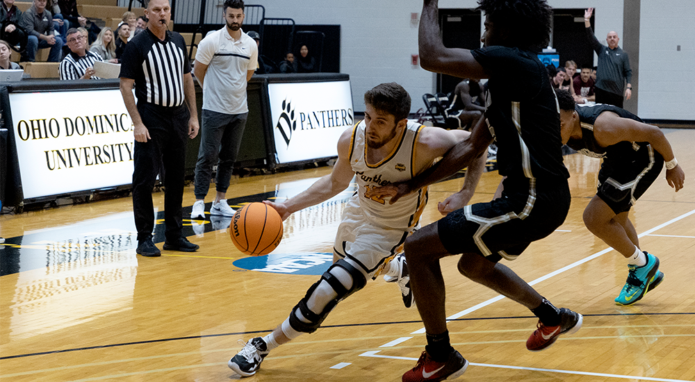 Panthers Can't Avoid Cedarville's Sting - Ohio Dominican University