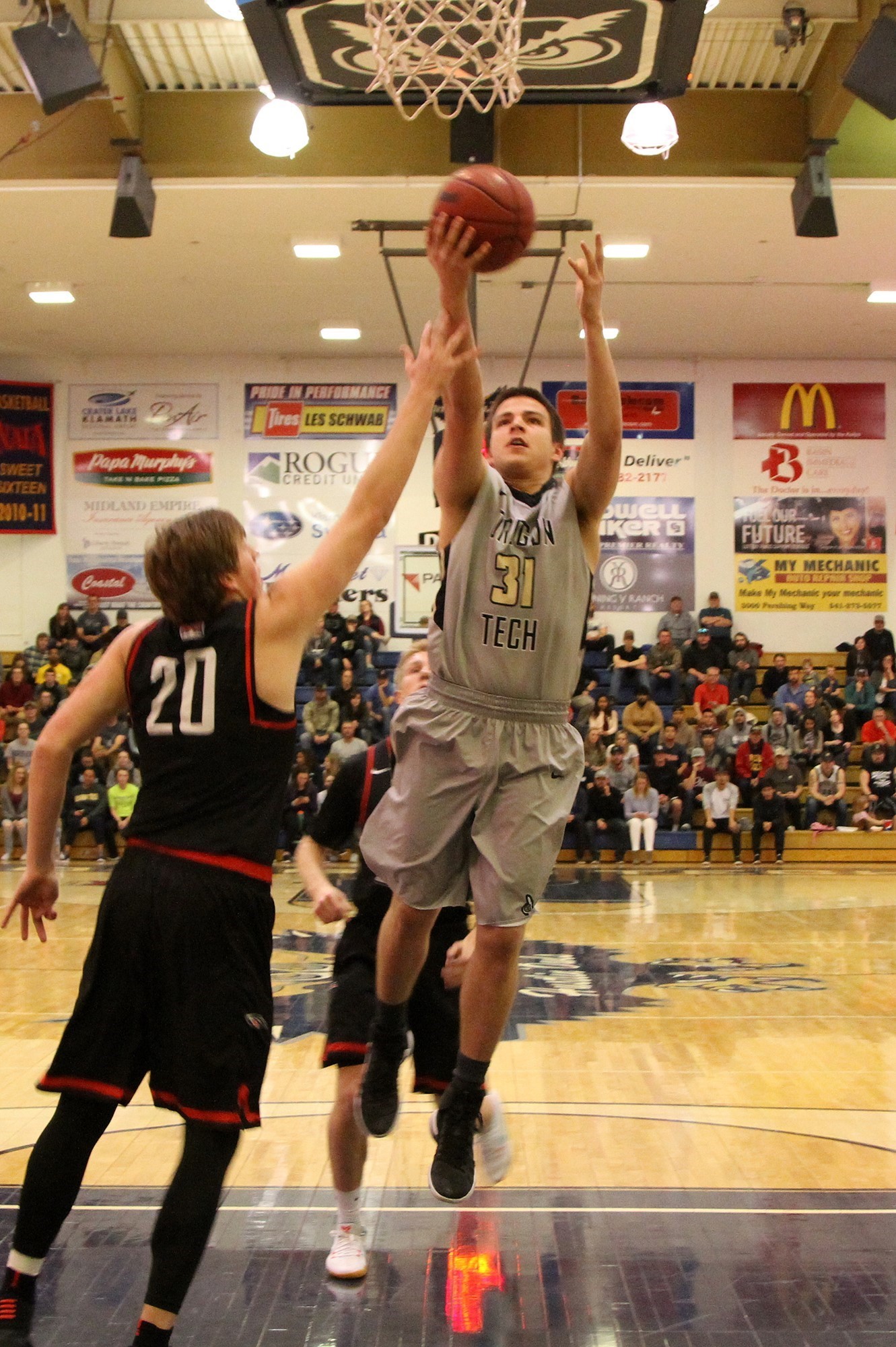 Brandon Halter - Men's Basketball - Oregon Institute of Technology ...