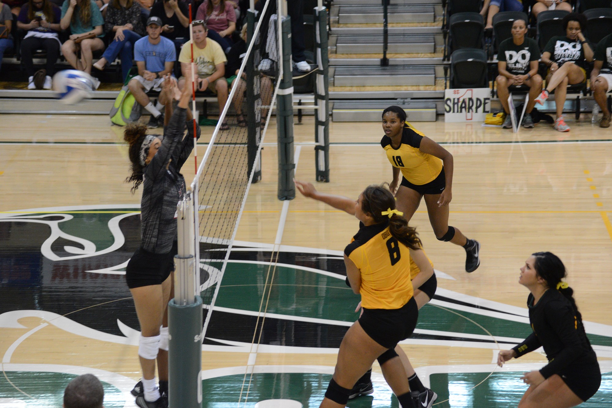 Adonica Wright - 2016 - Women's Volleyball - Oklahoma Baptist ...