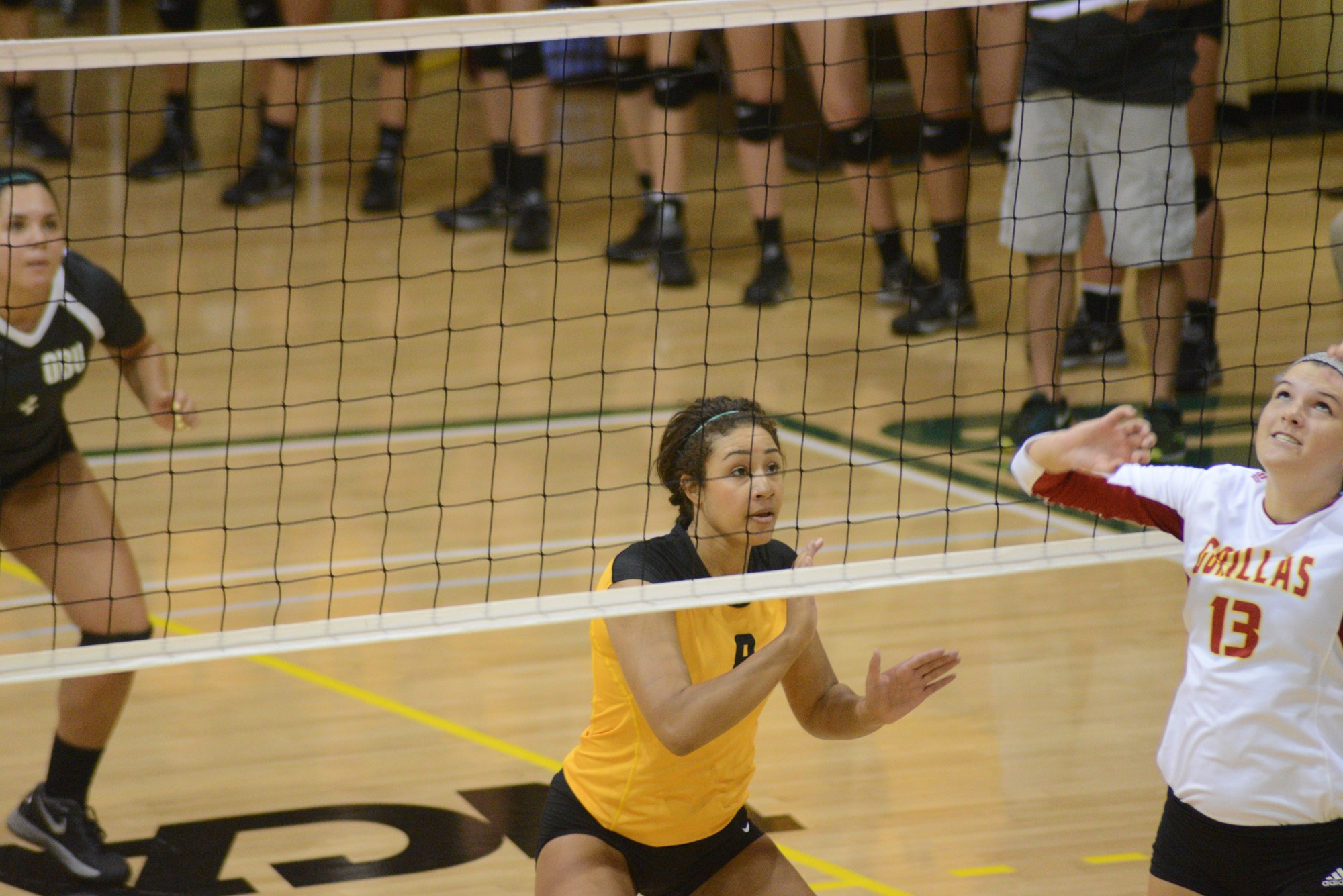 Adonica Wright - 2016 - Women's Volleyball - Oklahoma Baptist ...