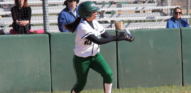 Jessica Colucci - 2013 - Softball - SUNY Old Westbury Athletics