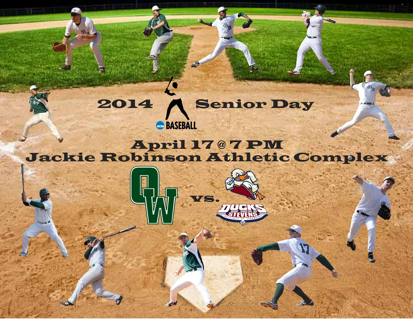 Tyler Levine - 2014 - Baseball - SUNY Old Westbury Athletics