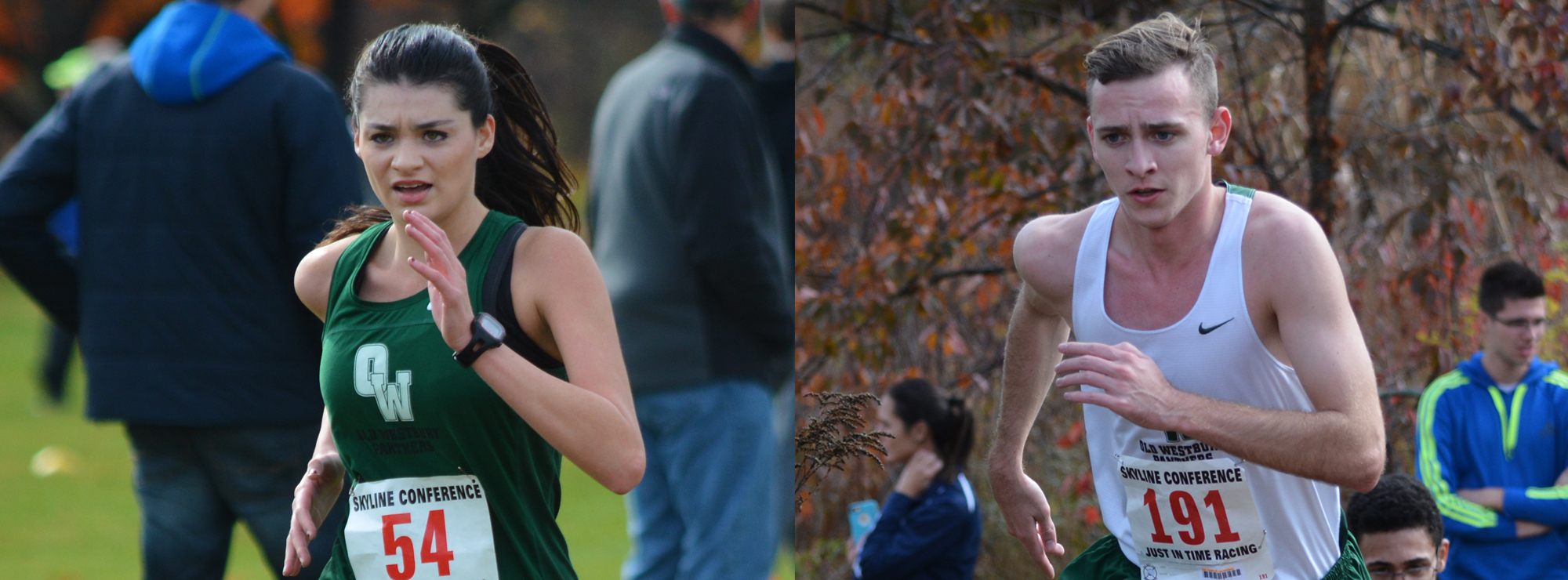 Brianna Stamm - 2016 - Women's Cross Country - SUNY Old Westbury Athletics