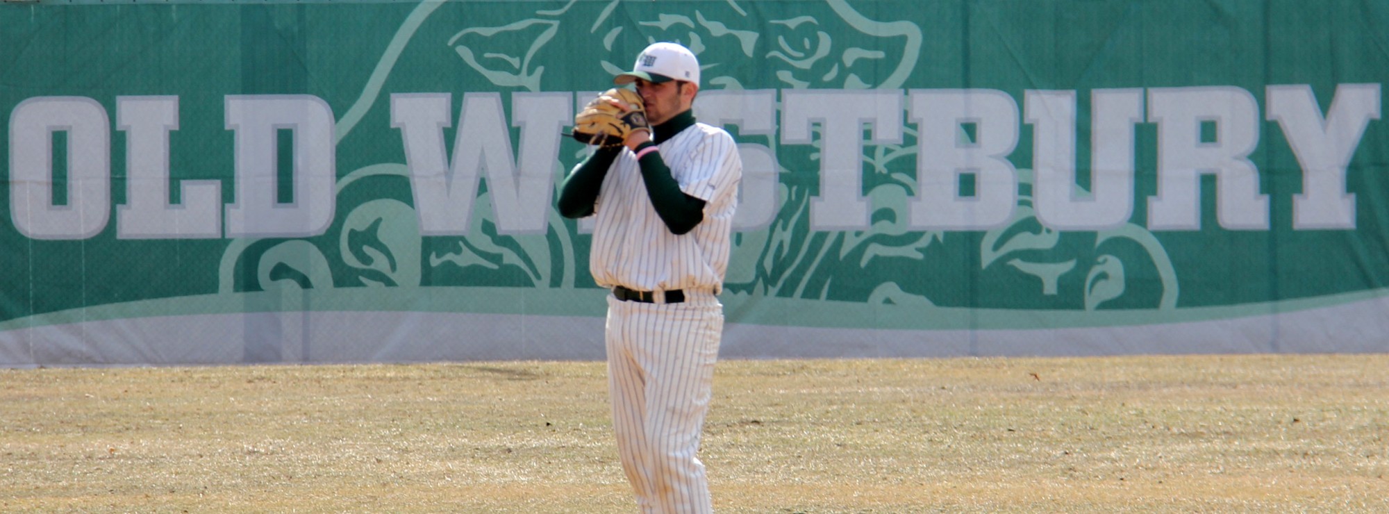 Michael Cardino - 2017 - Baseball - SUNY Old Westbury Athletics