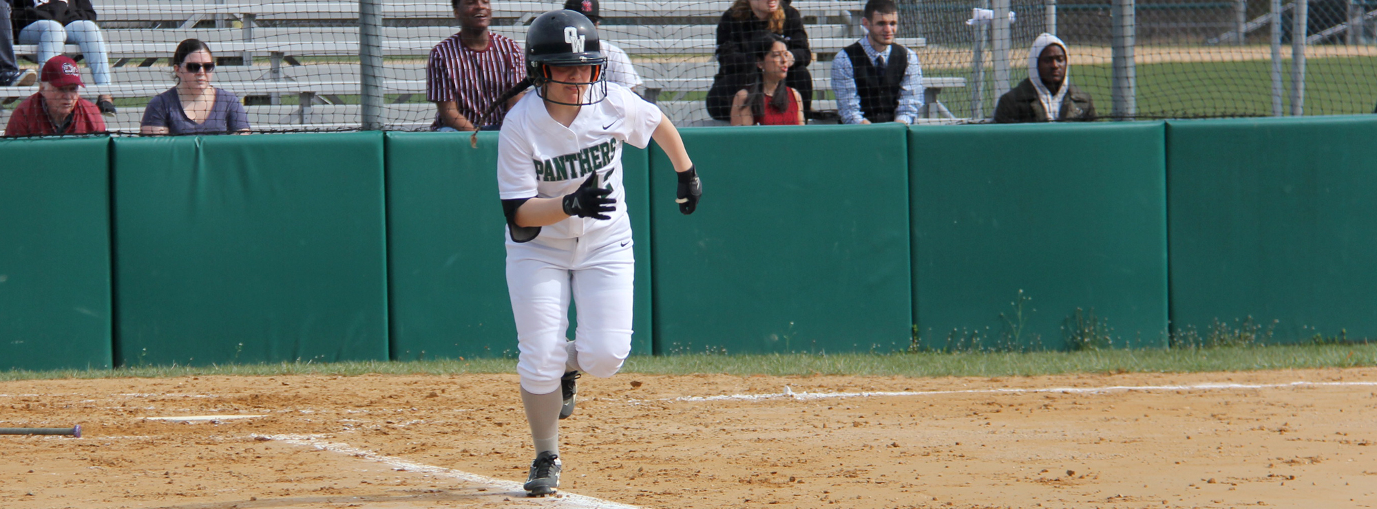 Katie Rizzo - 2017 - Softball - SUNY Old Westbury Athletics