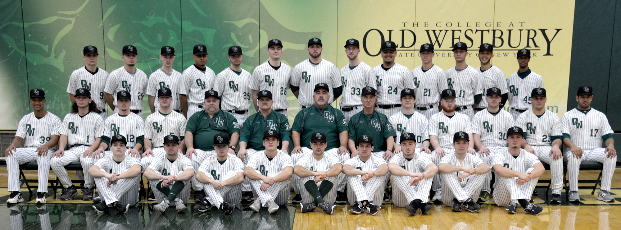 2018 Baseball Season Preview - SUNY Old Westbury Athletics