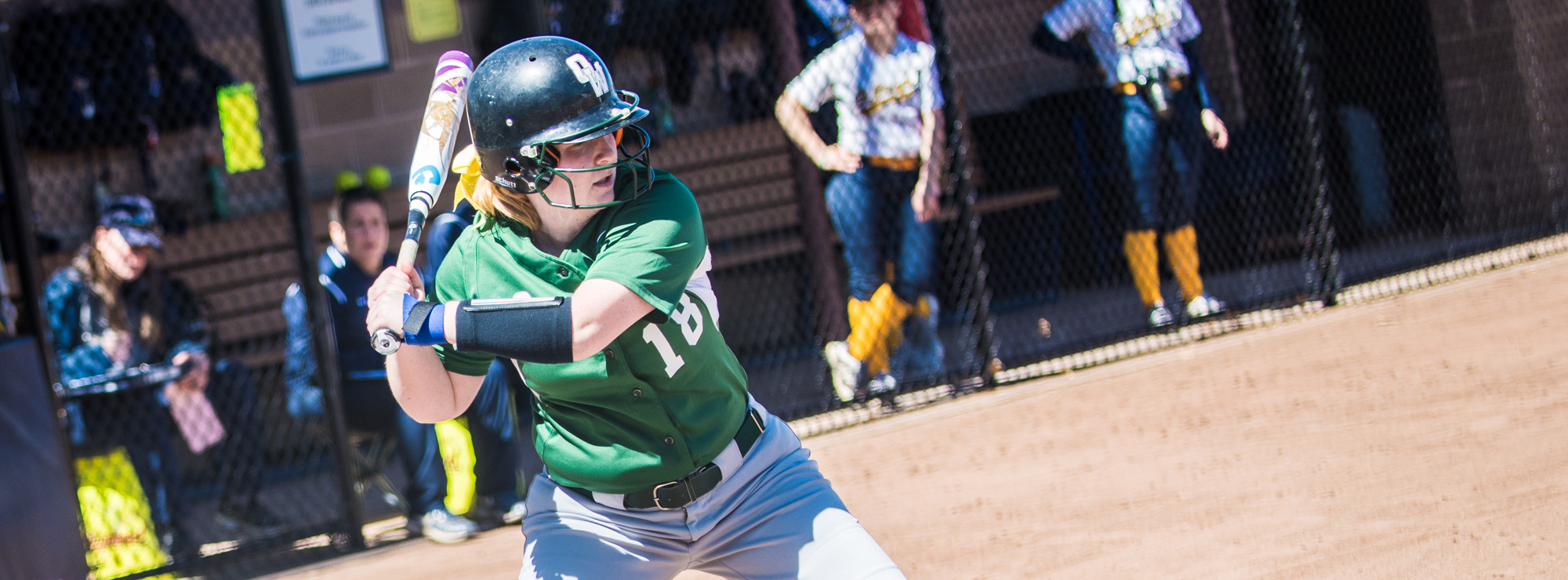 Amanda Fucci - 2018 - Softball - SUNY Old Westbury Athletics