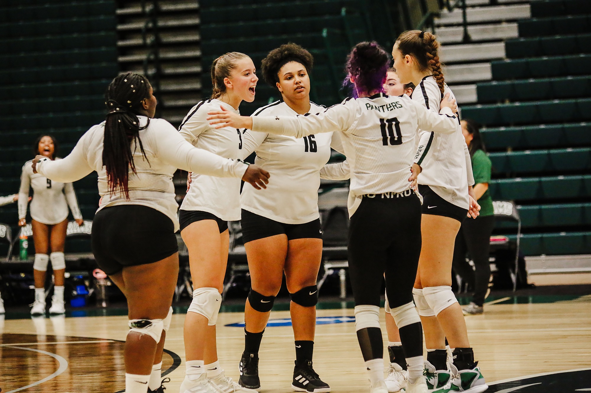 Women's Volleyball Defeats Sarah Lawrence to Clinch #5 Seed in Skyline ...