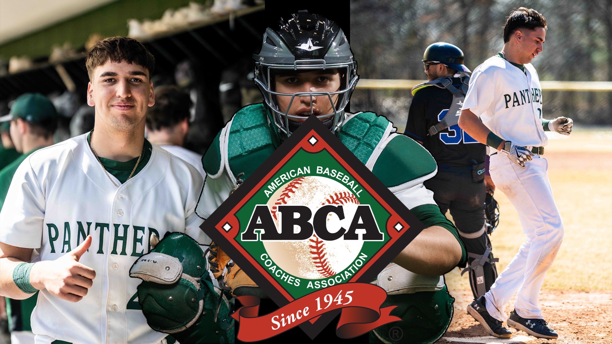 Baseball’s Rich Pecoraro Departs for St. Joseph’s-Brooklyn - SUNY Old ...