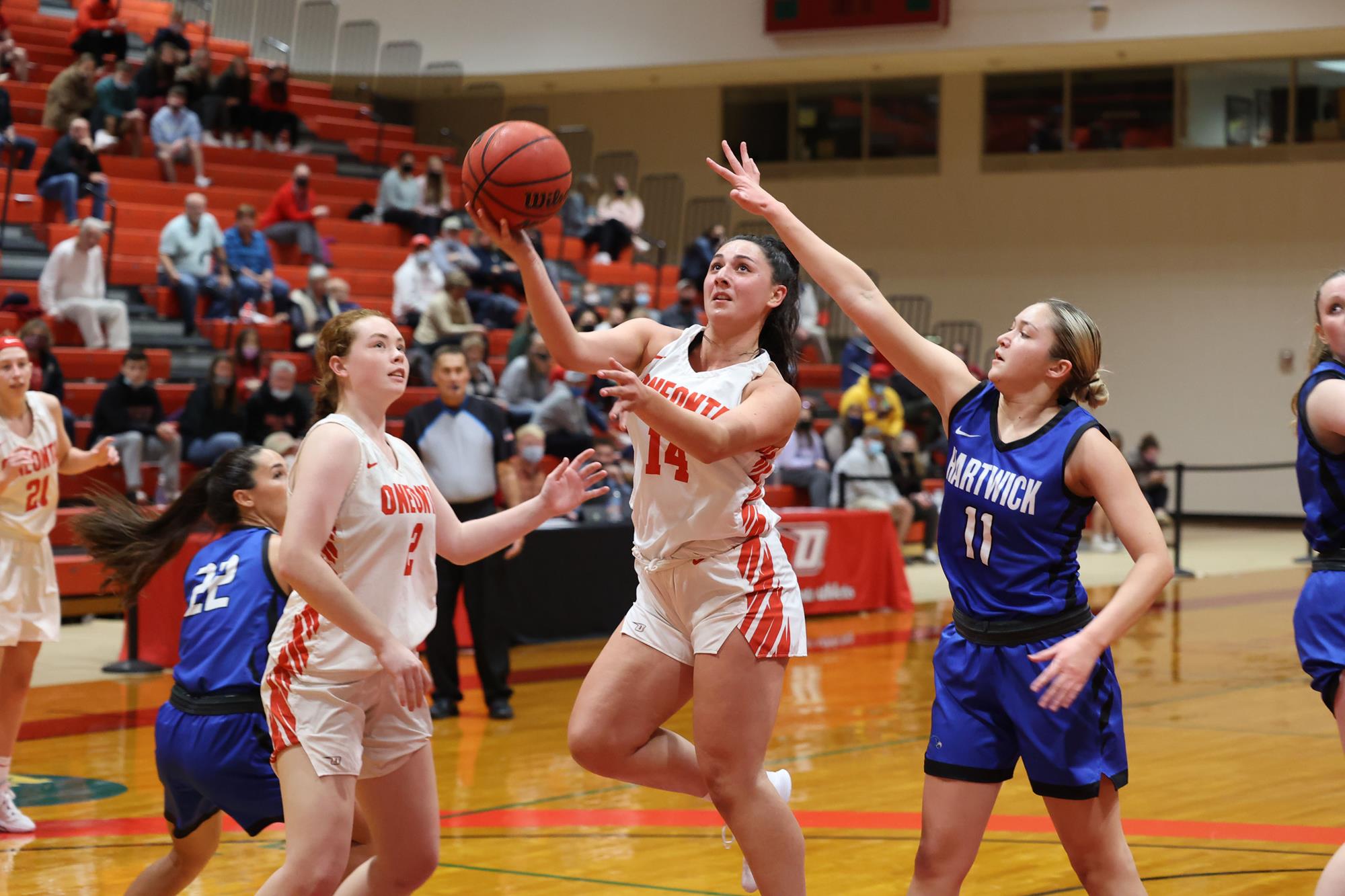 Jenna Harclerode - Women's Basketball - SUNY Oneonta Athletics