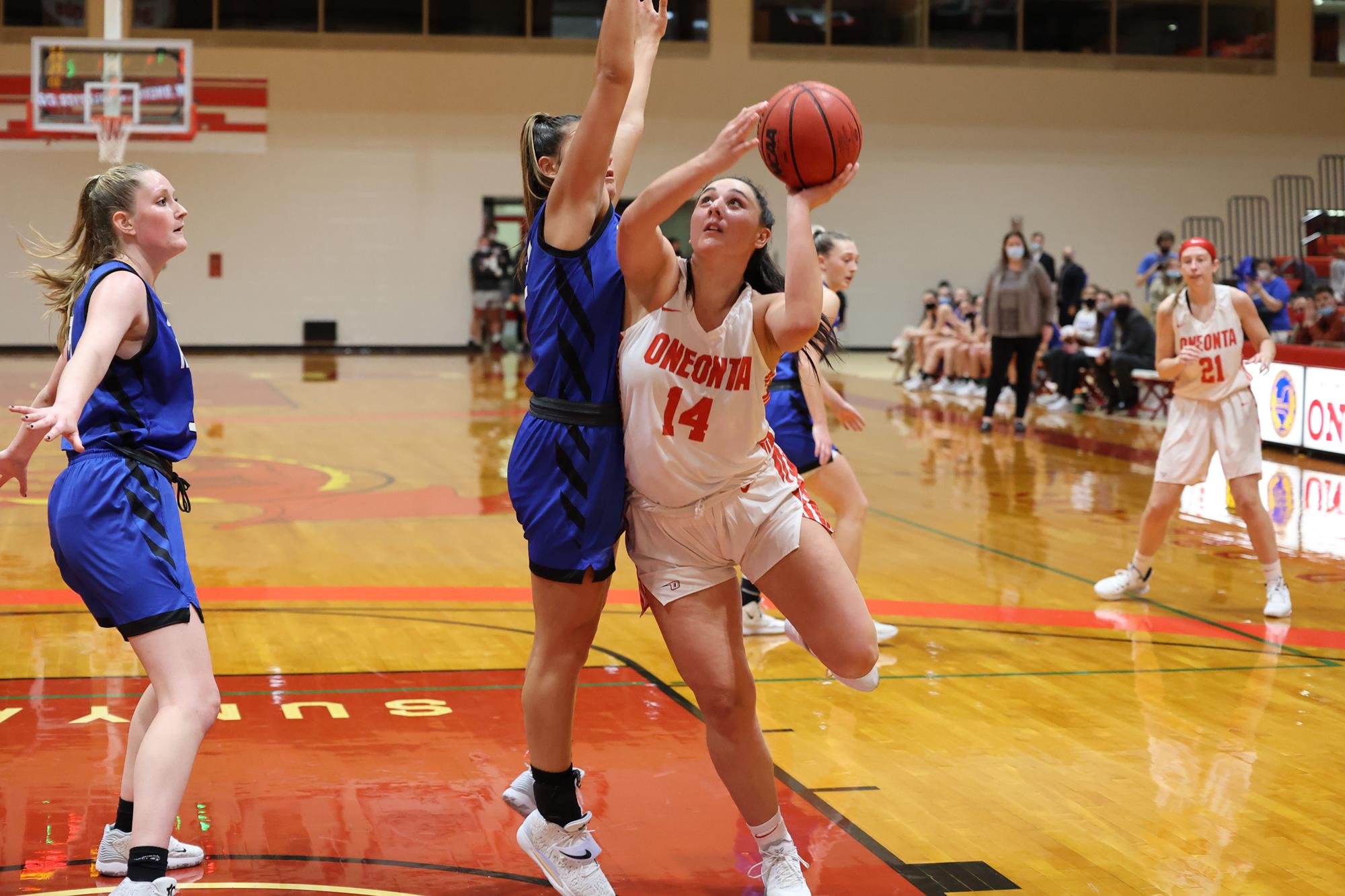 Jenna Harclerode - Women's Basketball - SUNY Oneonta Athletics