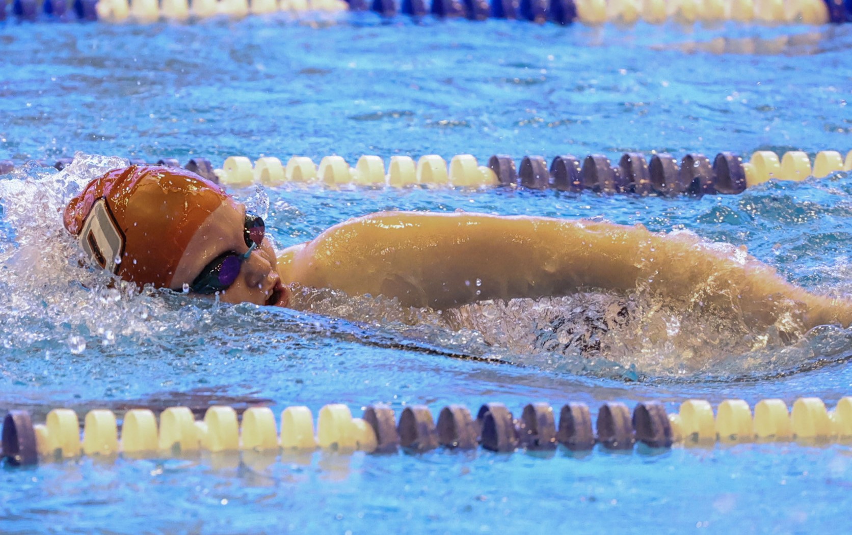 Emma Stephenson - Women's Swimming and Diving - SUNY Oneonta Athletics