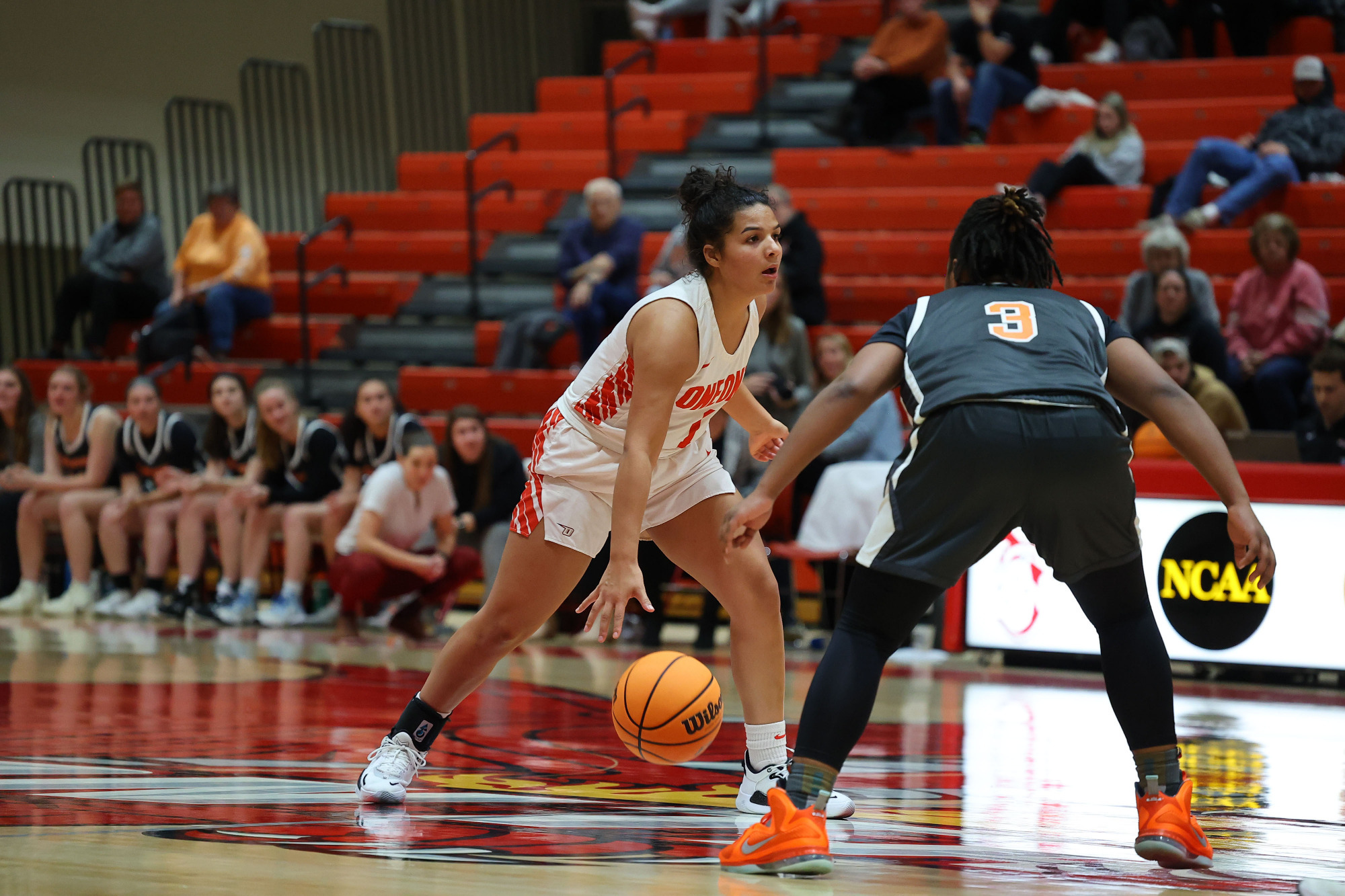 Women's Basketball Clipped by New Paltz in Conference Opener - SUNY ...