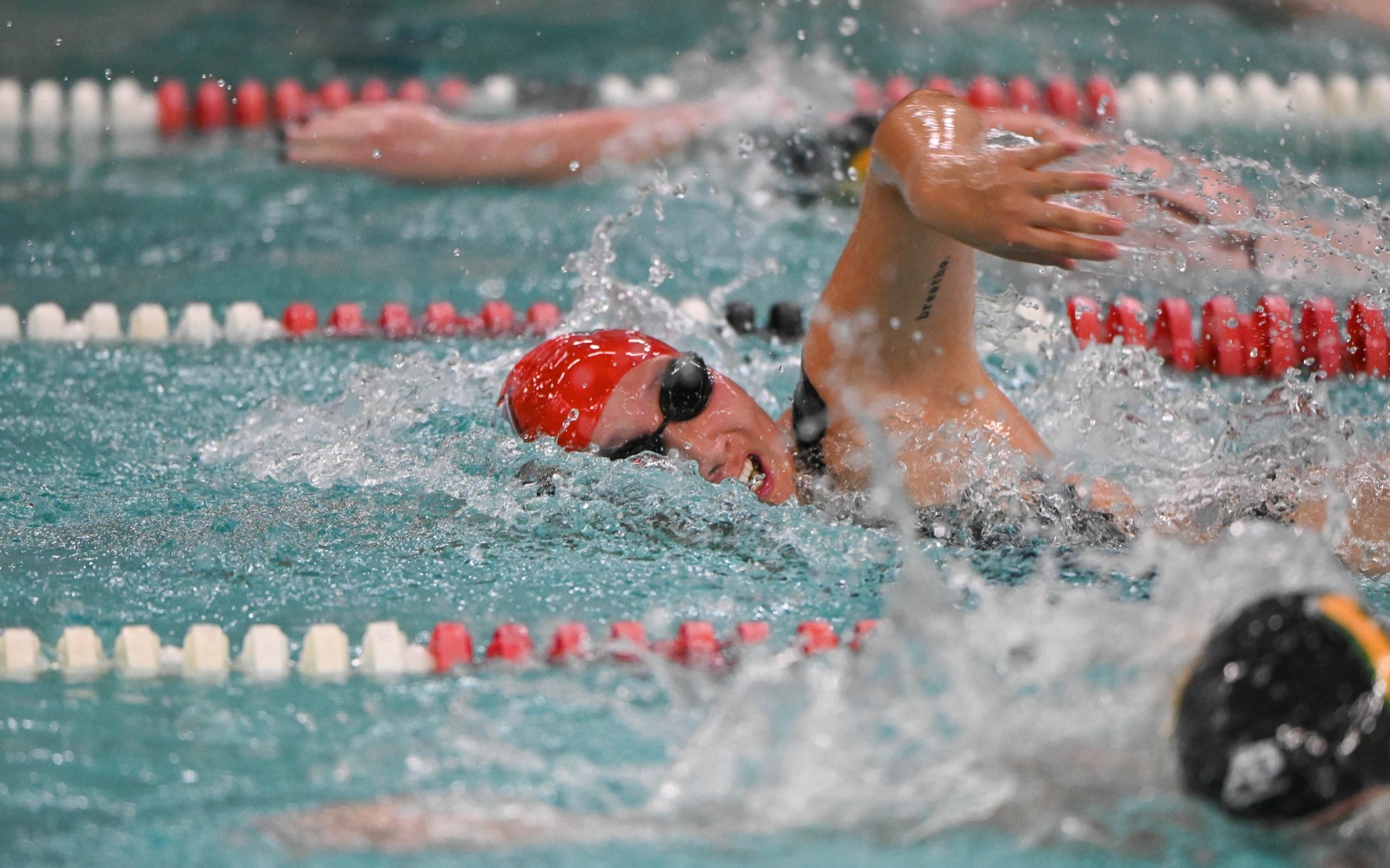 Sophia Olson - Women's Swimming and Diving - SUNY Oneonta Athletics