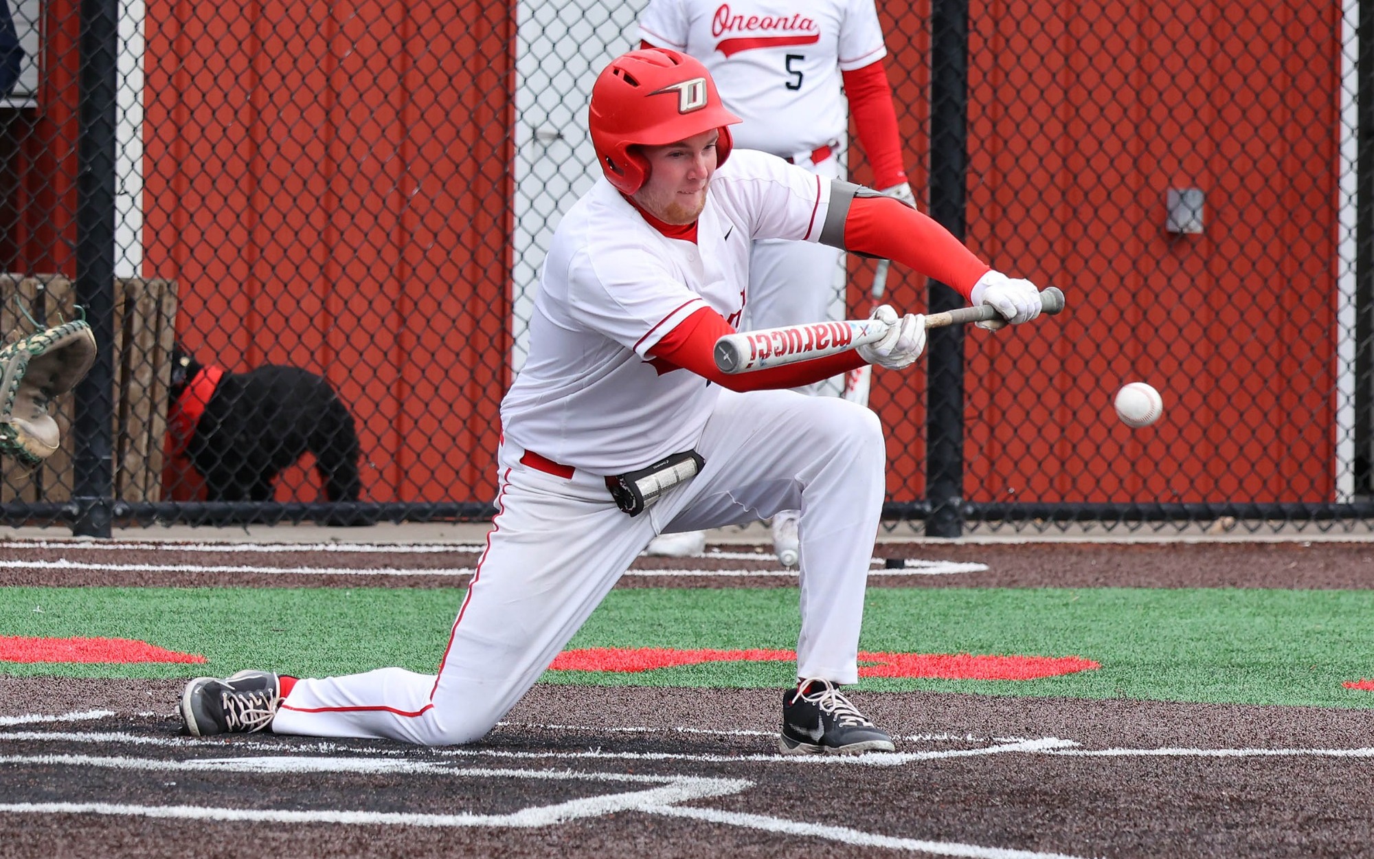 Liam Kaseta - Baseball - SUNY Oneonta Athletics