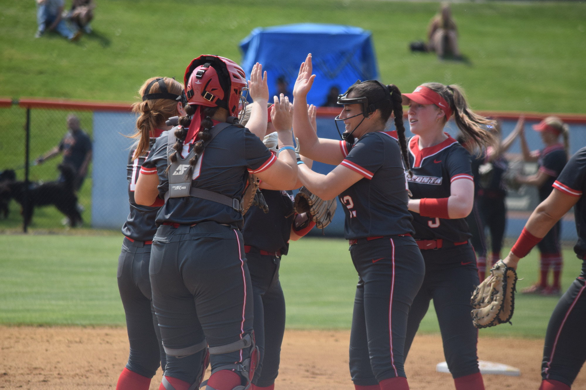 Marissa Dionisio - Softball - SUNY Oneonta Athletics