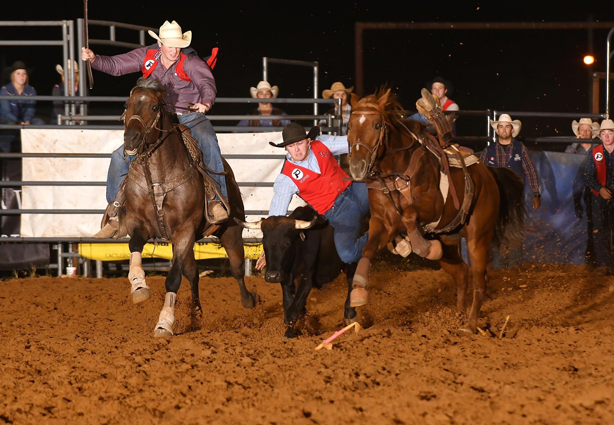 Panhandle State Saddle Bronc Riders Have Their Eyes On The Prize ...